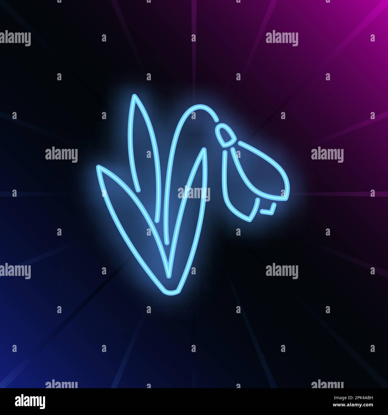 Snowdrop neon sign. Single flower Stock Vector Image & Art - Alamy