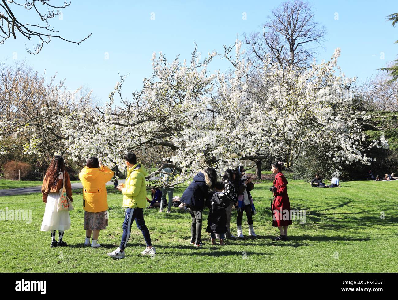 Spring sunshine and flowers in the Easter holidays in Regents Park ...