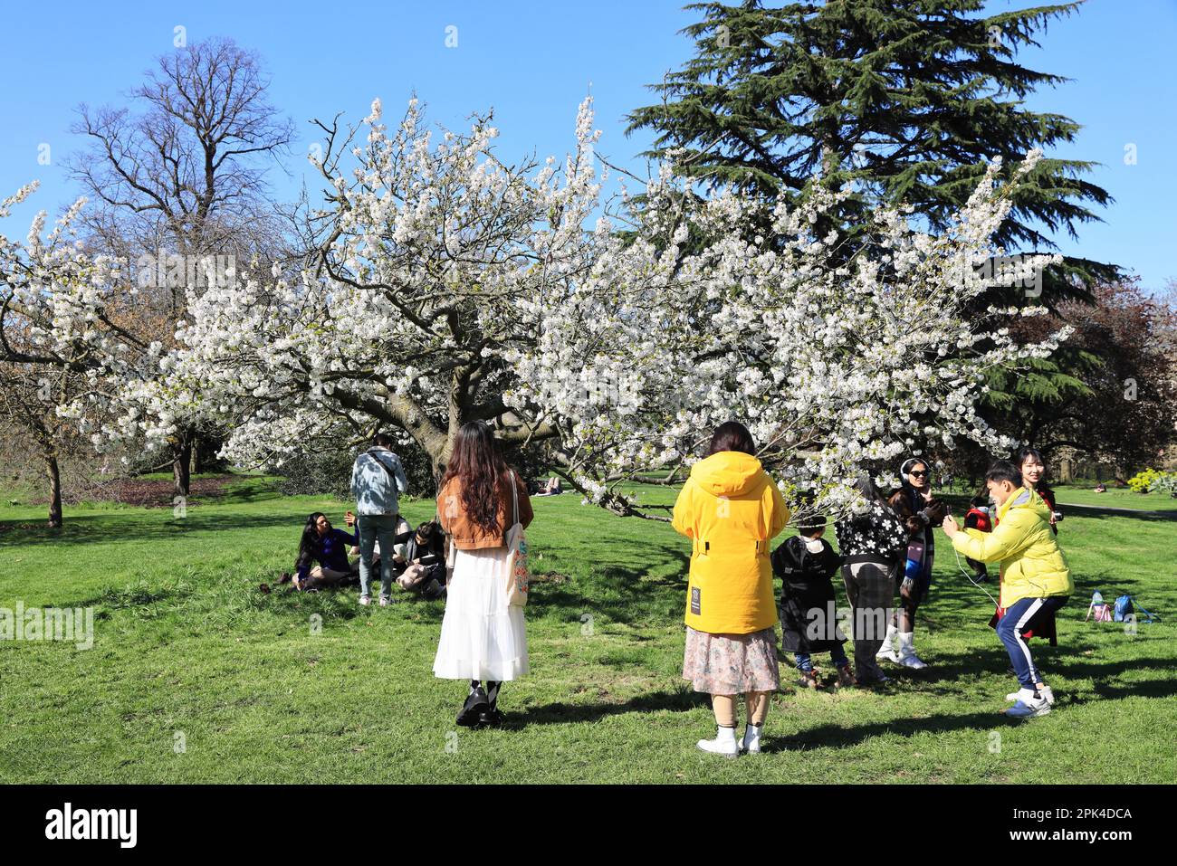 Spring sunshine and flowers in the Easter holidays in Regents Park ...