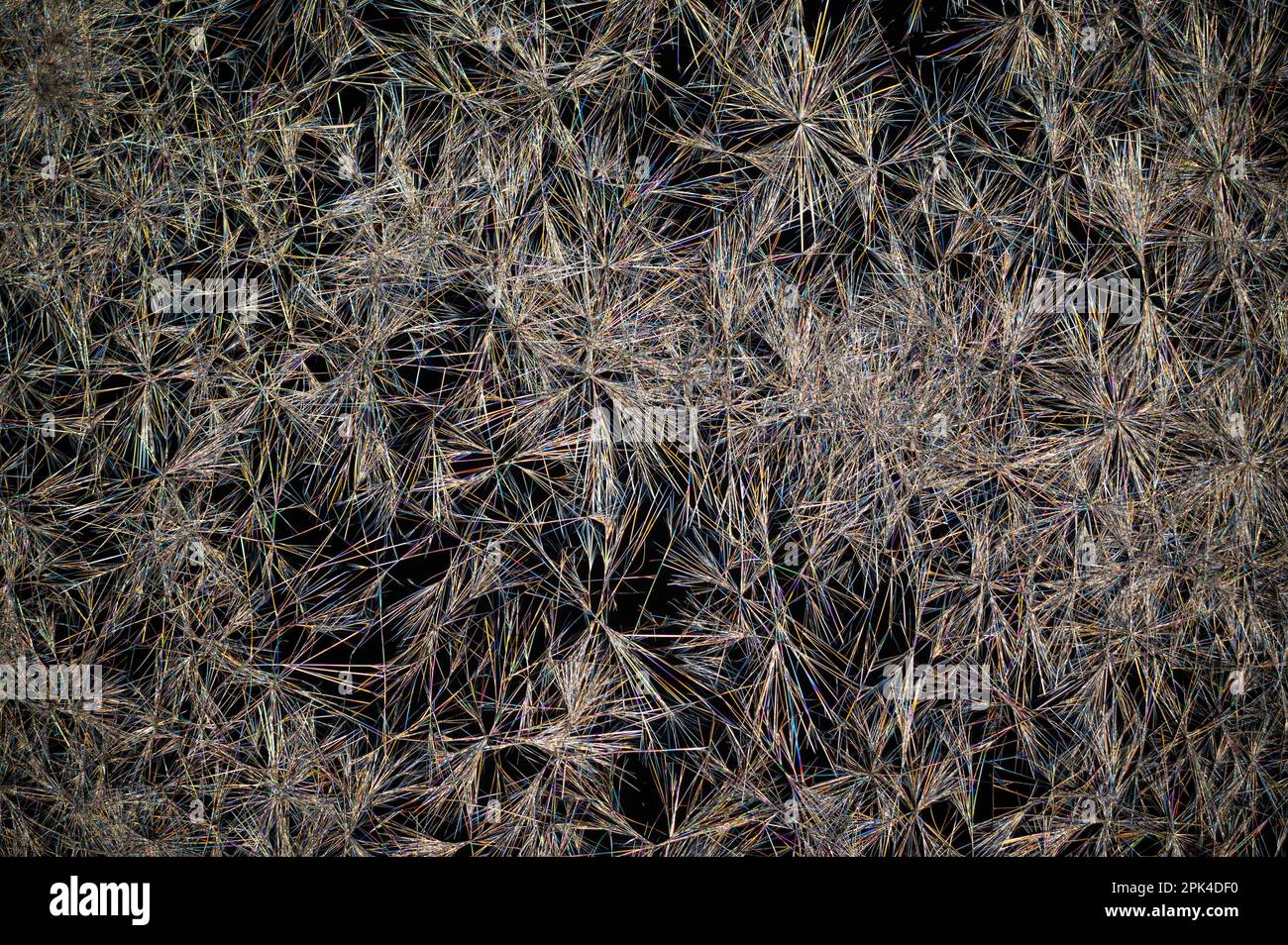 Caffeine crystals, polarised light micrograph Stock Photo - Alamy