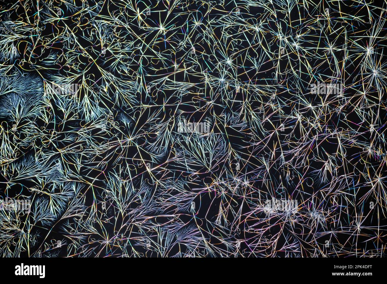 Caffeine crystals, polarised light micrograph Stock Photo - Alamy