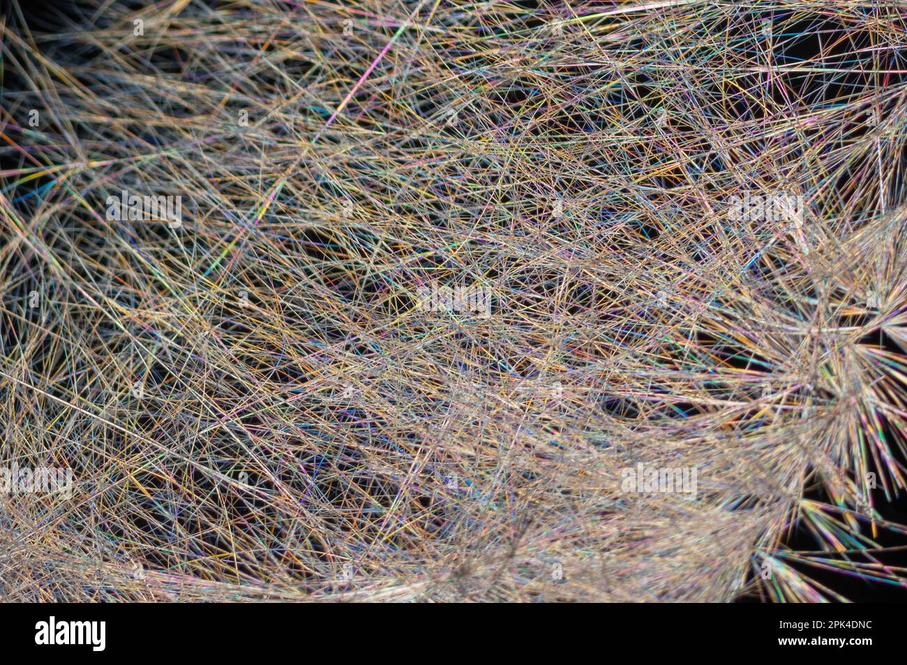 Caffeine crystals, polarised light micrograph Stock Photo - Alamy