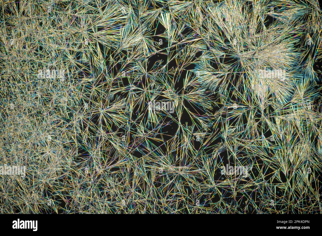 Caffeine crystals, polarised light micrograph Stock Photo - Alamy
