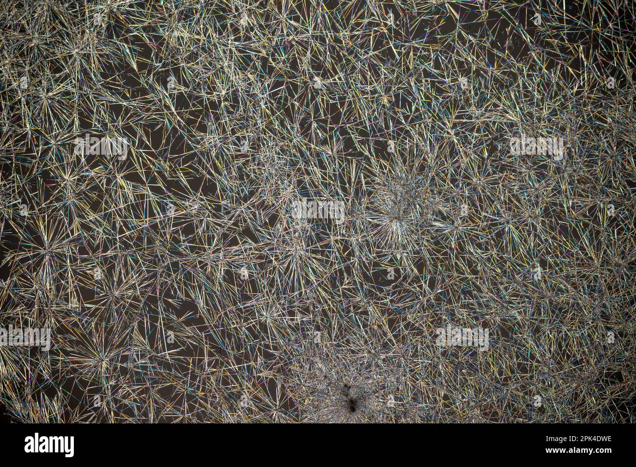 Caffeine crystals, polarised light micrograph Stock Photo - Alamy