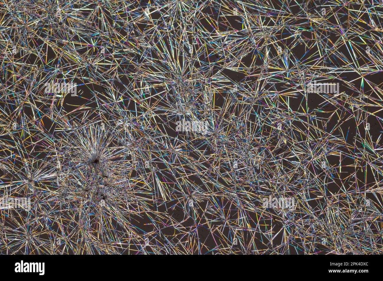 Caffeine crystals, polarised light micrograph Stock Photo - Alamy