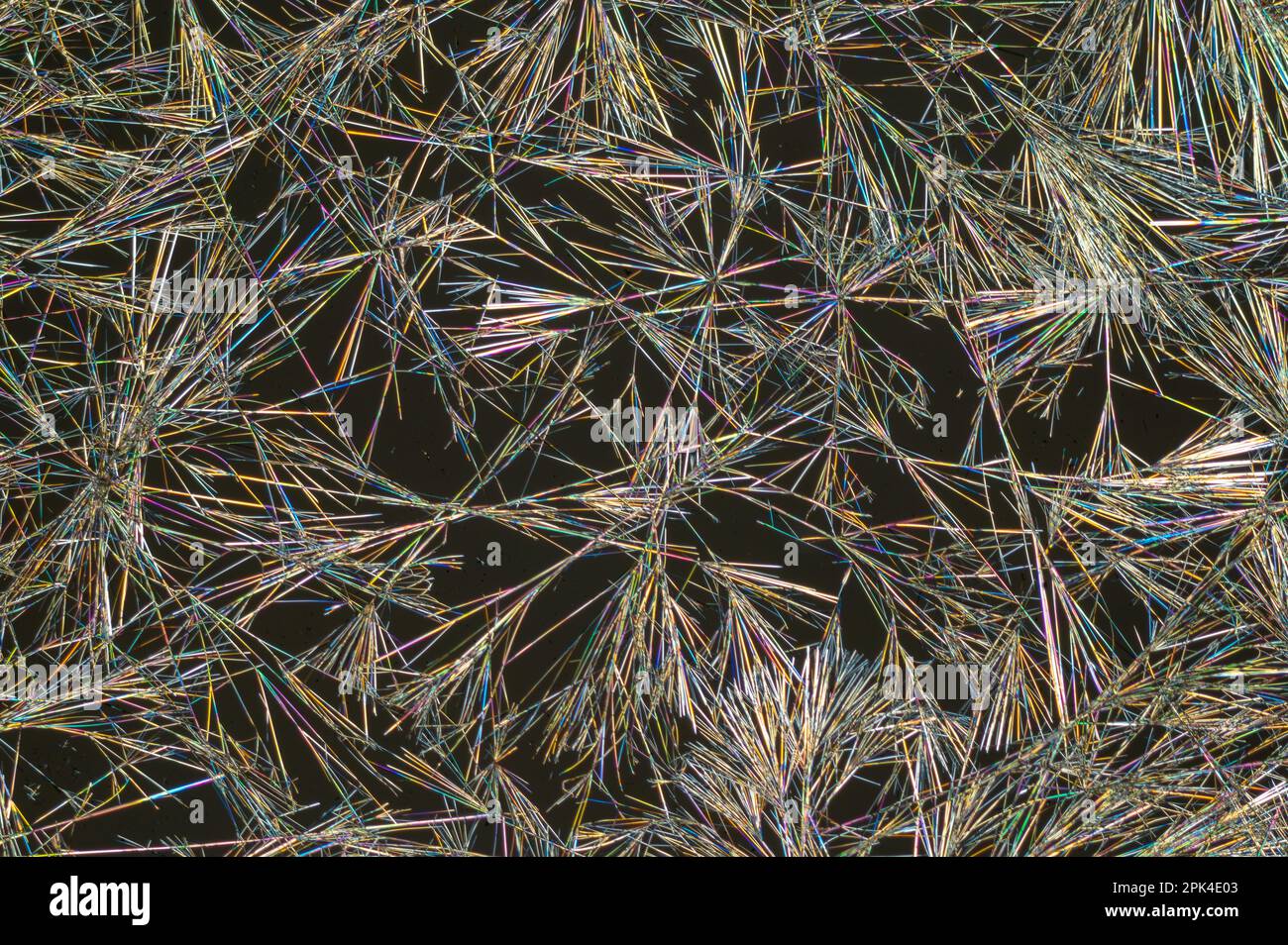 Caffeine crystals, polarised light micrograph Stock Photo - Alamy