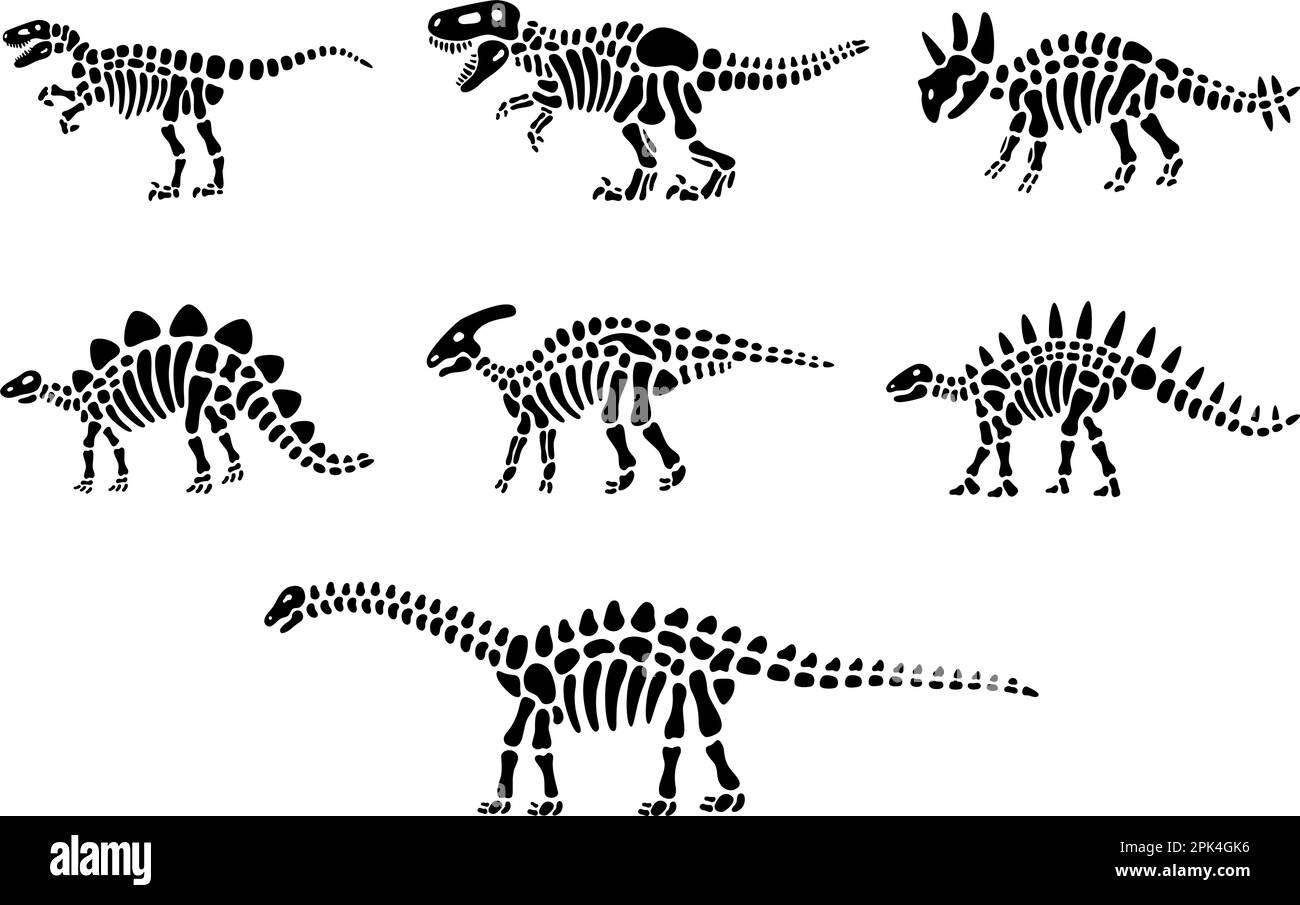 Set of dinosaur skeletons. Triceratops, Tyrannosaurus, Kentrosaurus ...
