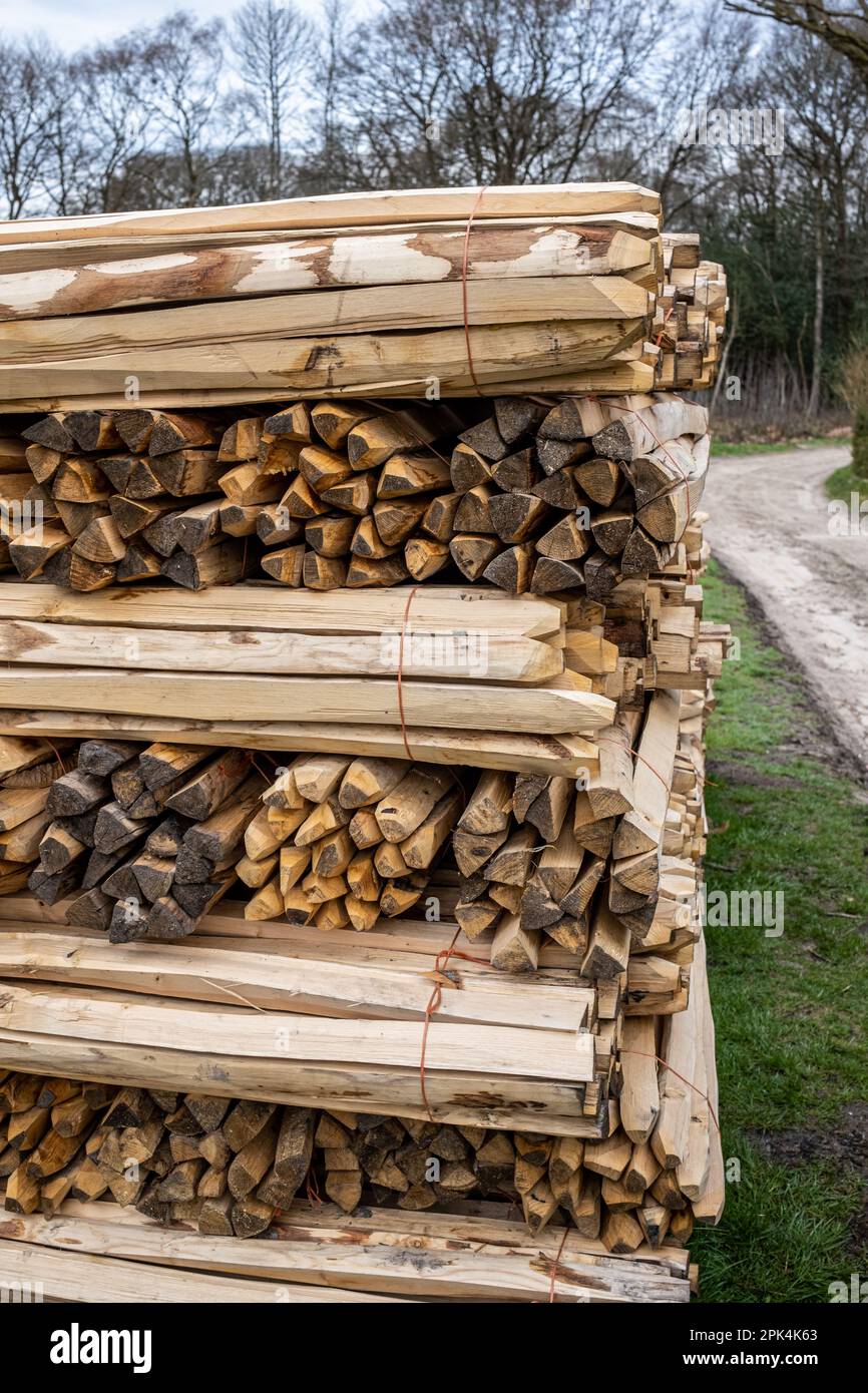 A stack of chestnut pales waiting for collection Stock Photo - Alamy