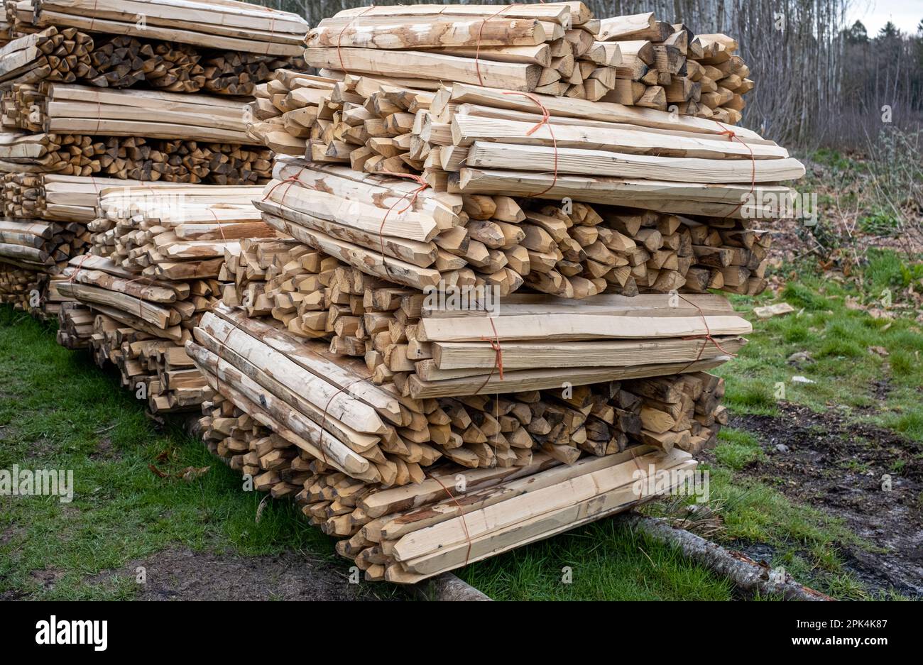 A stack of chestnut pales waiting for collection Stock Photo - Alamy