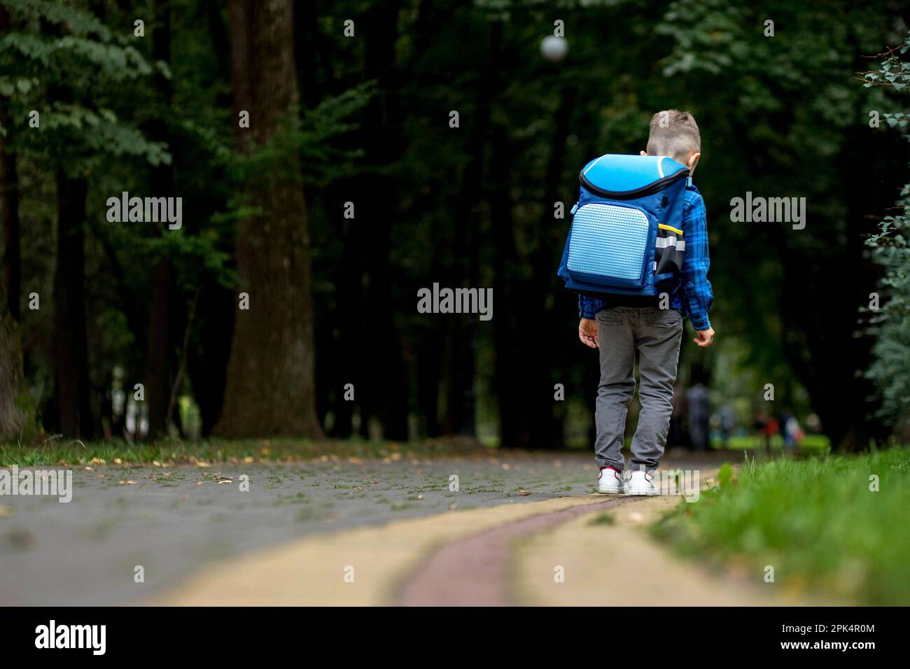 Little boy with backpack going to school. Rear view. First grader Stock ...