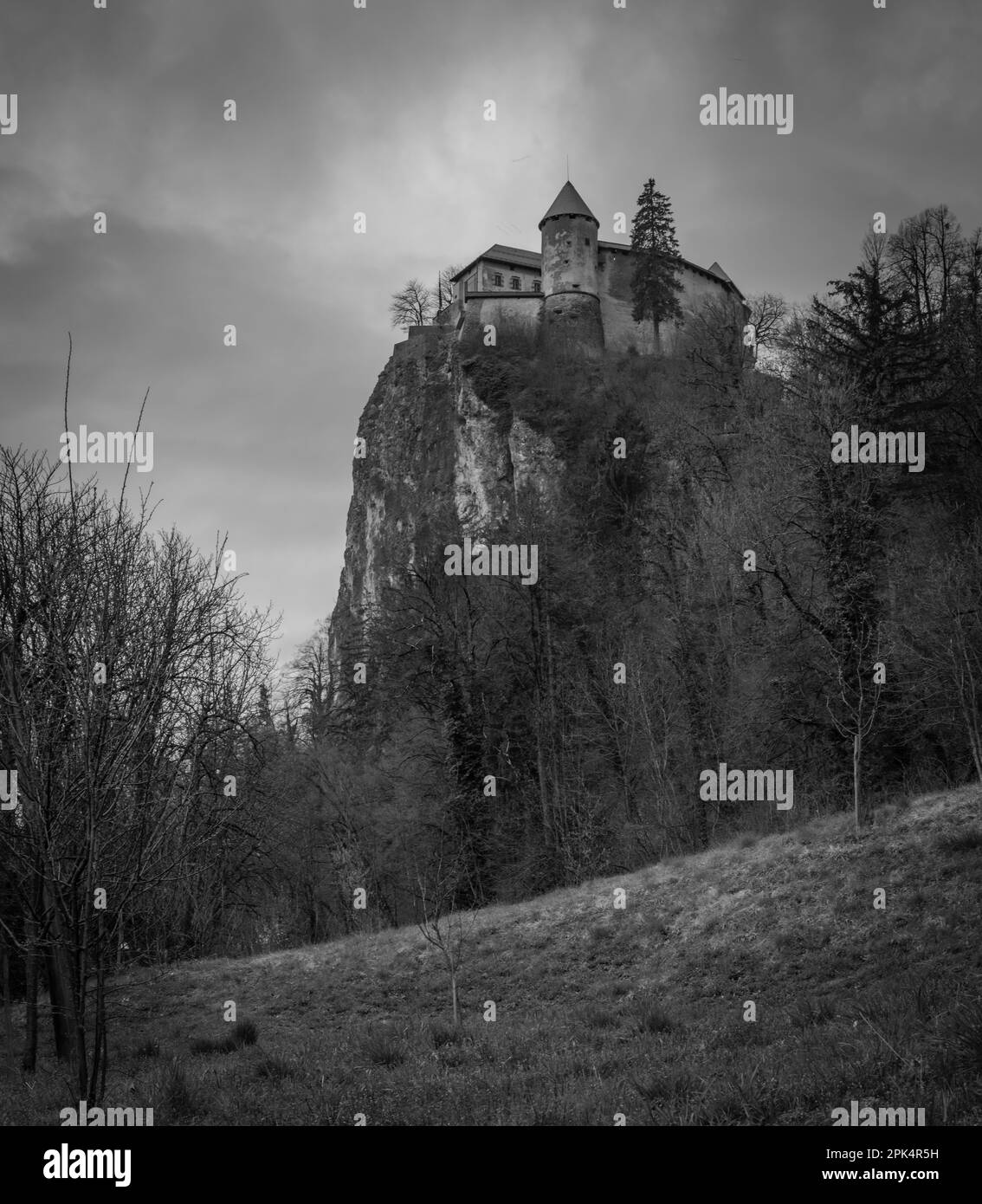 Beautiful castle pond green Black and White Stock Photos & Images - Alamy