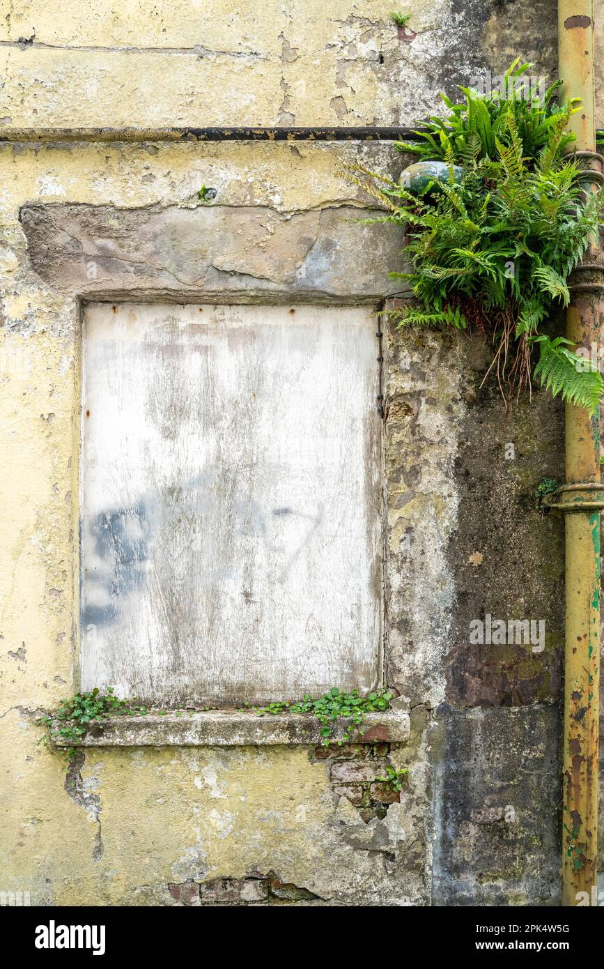 Boarded up window and door of commercial building Stock Photo - Alamy