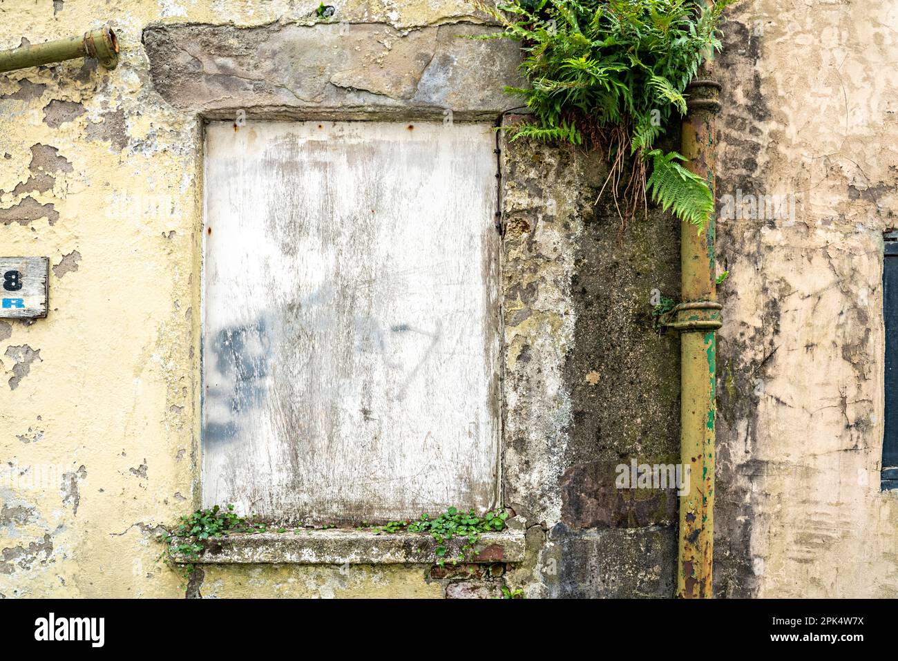 Boarded up window and door of commercial building Stock Photo - Alamy