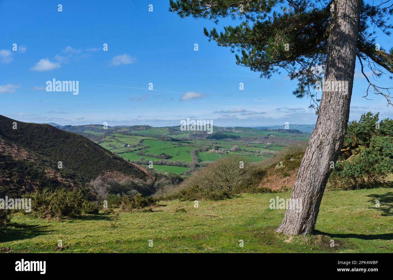 View through Crowsnest Dingle towards Bromlow Callow, near Snailbeach ...