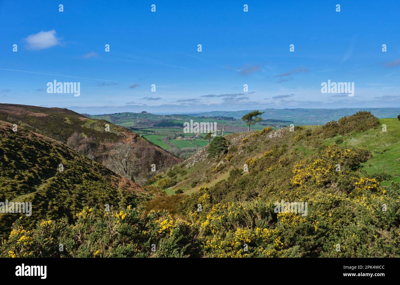 View through Crowsnest Dingle towards Bromlow Callow, near Snailbeach ...