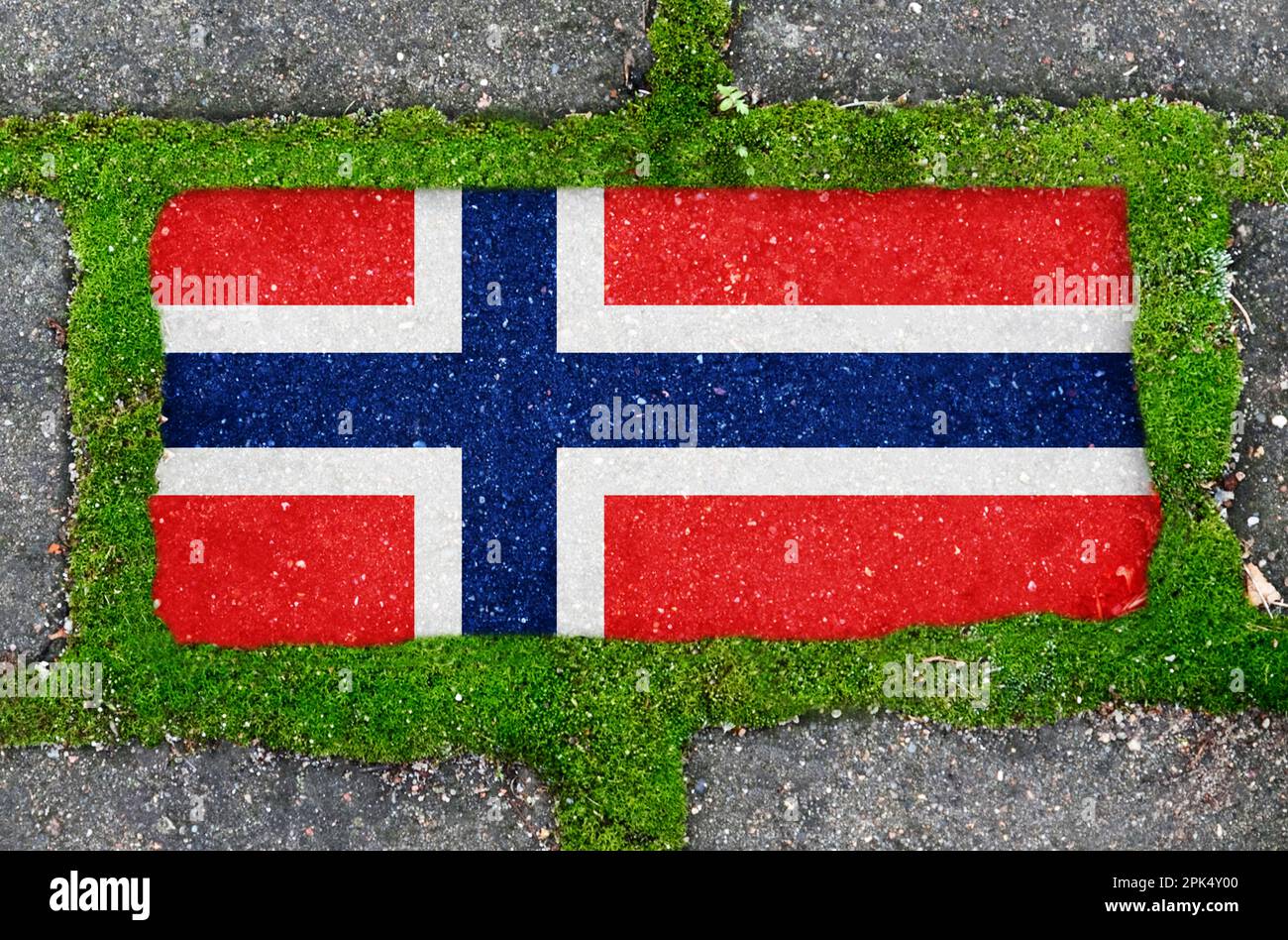 Ecological concept. On the sidewalk in green moss, paving slabs with ...