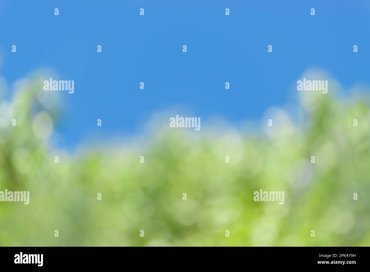 Out of focus background hi-res stock photography and images - Alamy