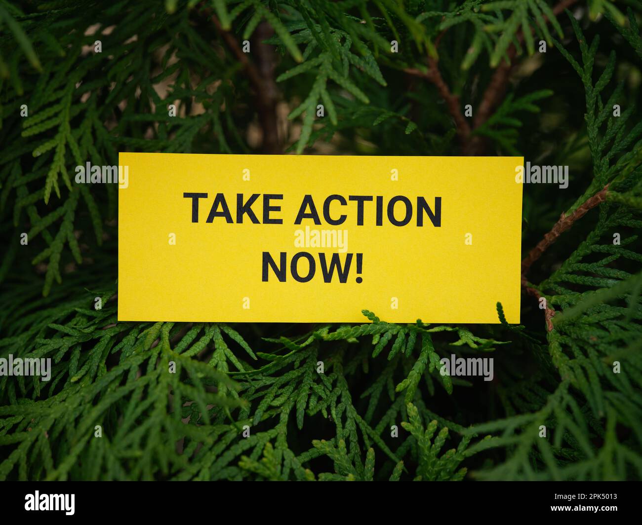 A yellow paper note with the phrase Take Action Now! on it hanging on a ...
