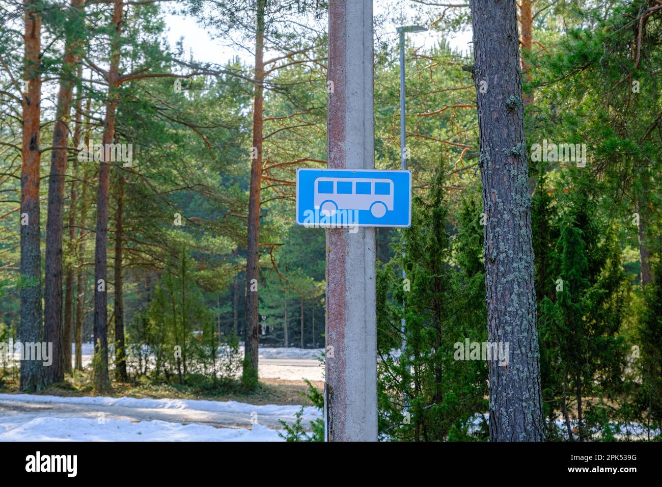 Blue and white bus parking sign with bus icon Stock Photo - Alamy