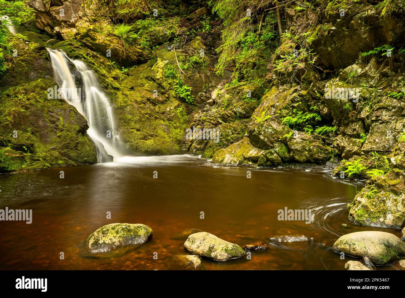 Landscape in the Black Forest, waterfall al Falkau, with rocks and ...