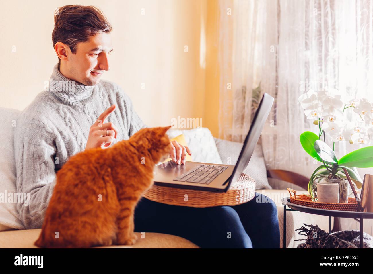 Working online from home with pet using computer. Man typing on laptop ...