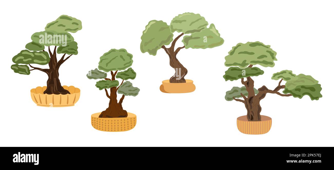 Bonsai Tree Clipart