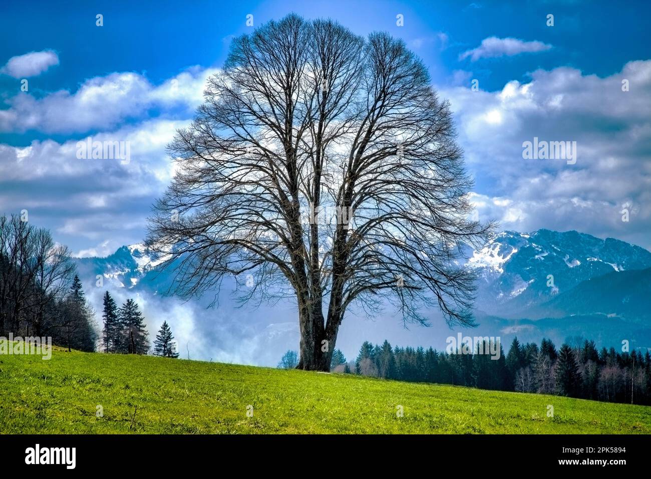 DE - BAVARIA: Alpine view of the Bavarian Alps from Gaissach nr. Bad ...