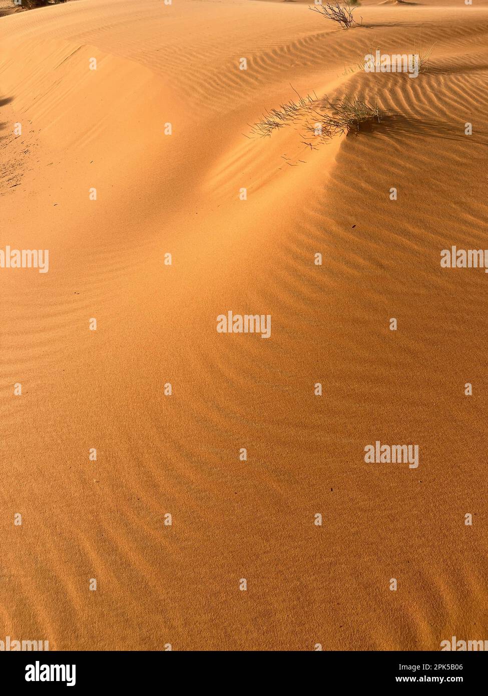 Grains of sand forming small waves on the dunes, panoramic view ...