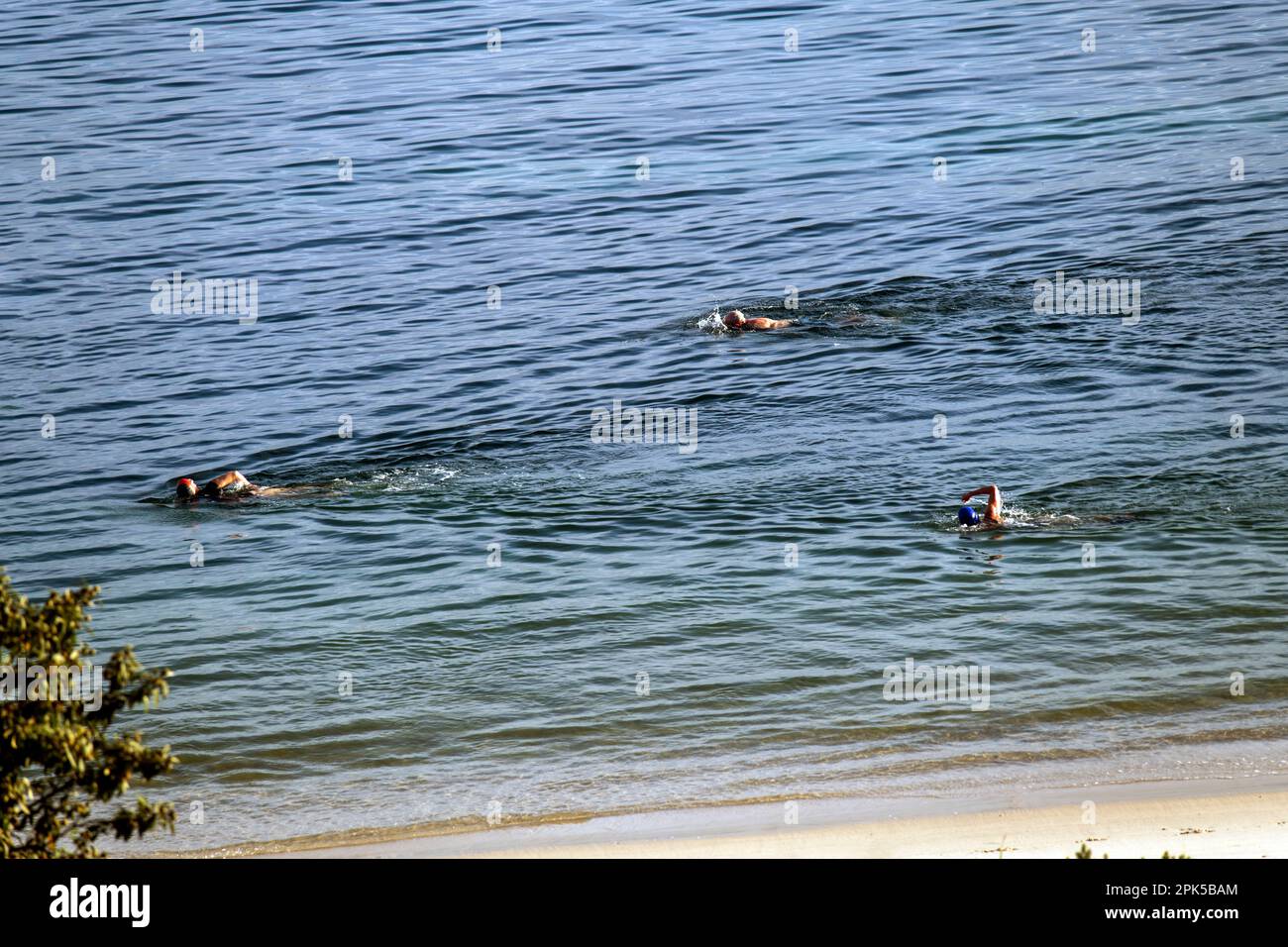 People swimming at Shoal Bay beach, Port Stephens, Mid North Coast, New ...