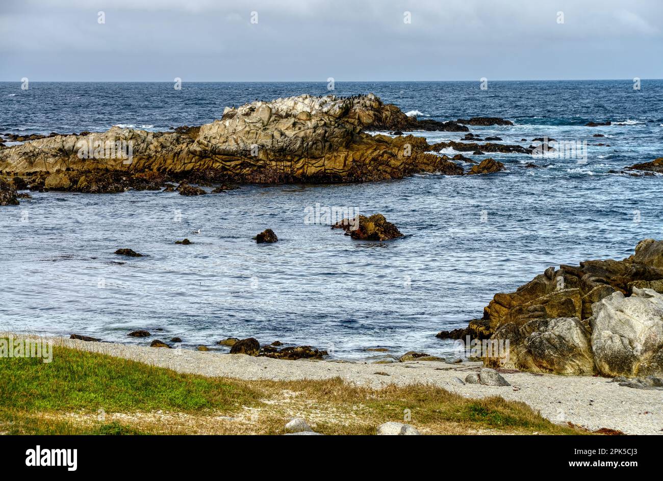 Asilomar state park hi-res stock photography and images - Alamy