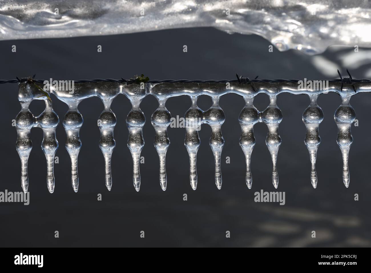 Ice garland... Icicle ( Winter flood 2020/2021 ), ice formation on ...