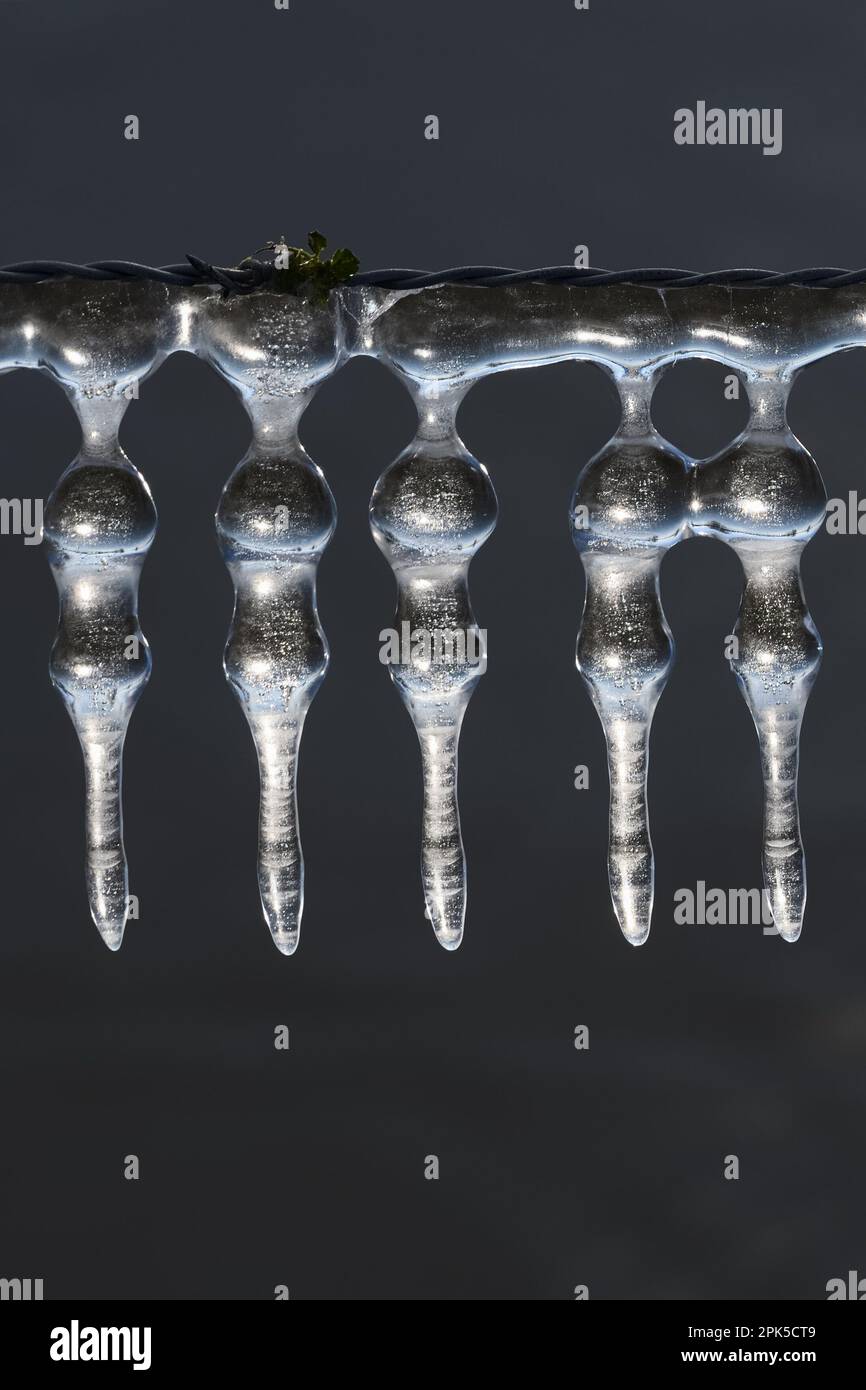 Ice garland... Icicle ( Winter flood 2020/2021 ), ice formation on ...