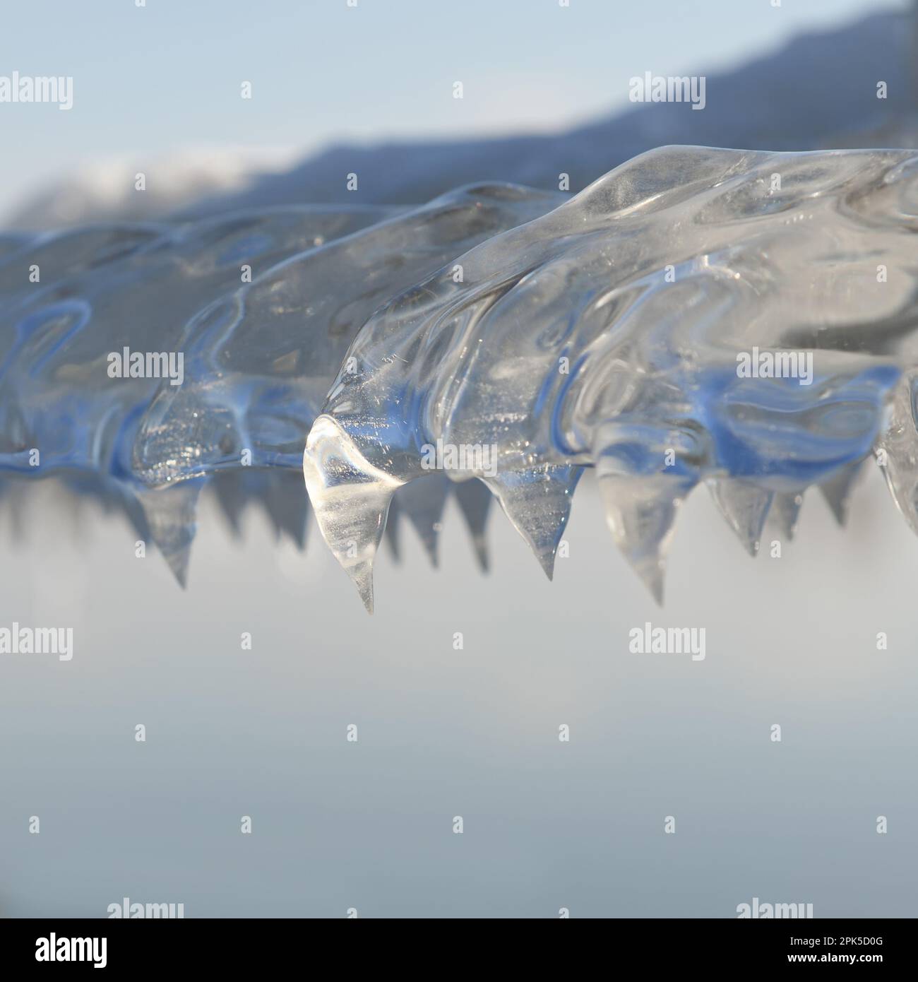 Ice formations on a barbed wire... Icicles ( winter flood 2020/2021 ...