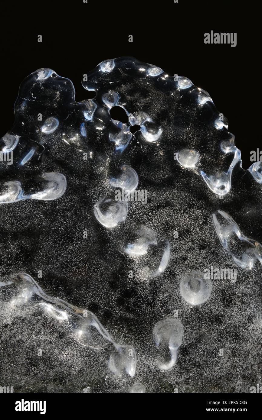 frozen water... Ice slab ( winter flood 2020/2021 ), ice sculpture ...