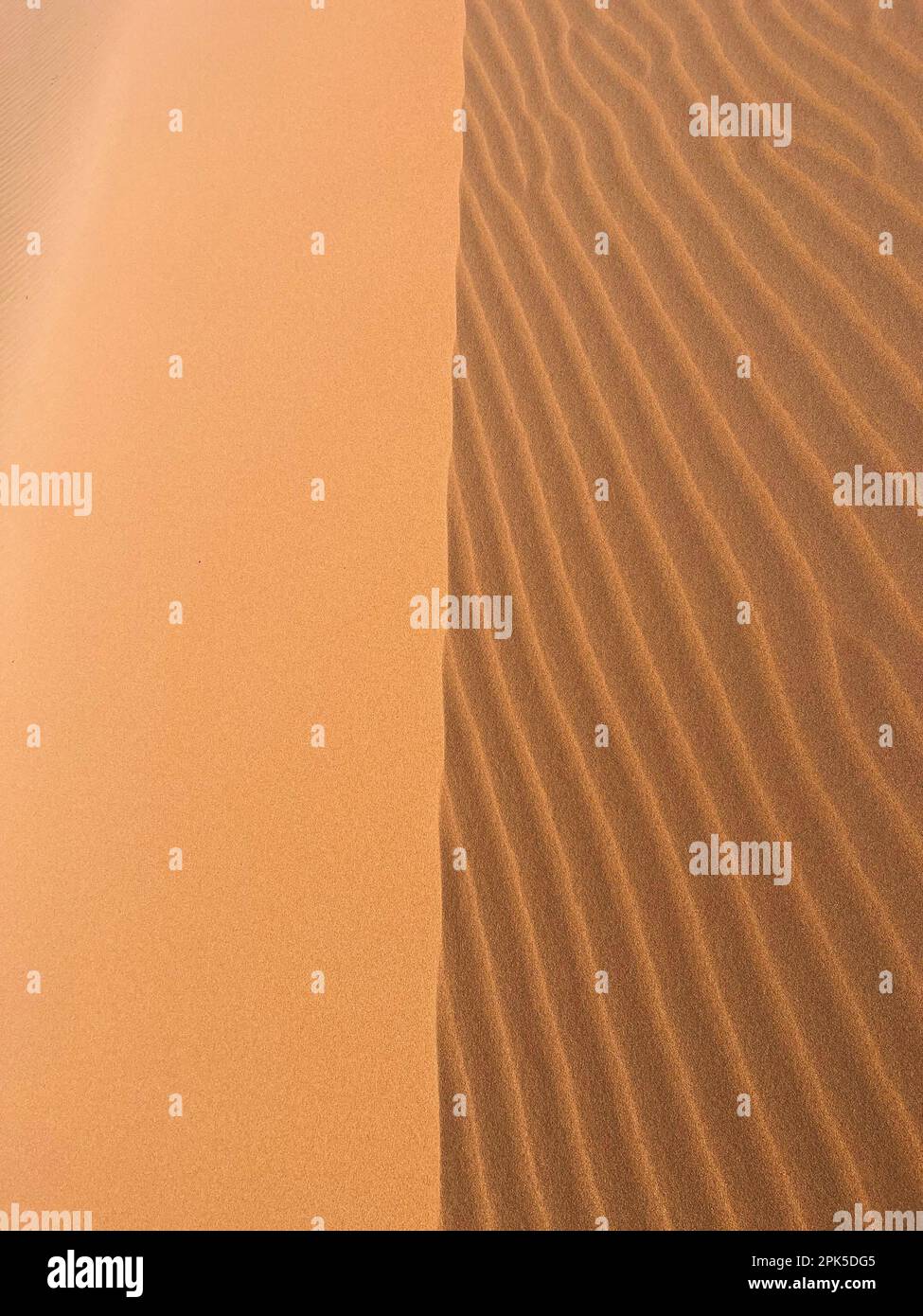 Merzouga, Morocco, Africa: details of a sand dune in the Sahara desert ...