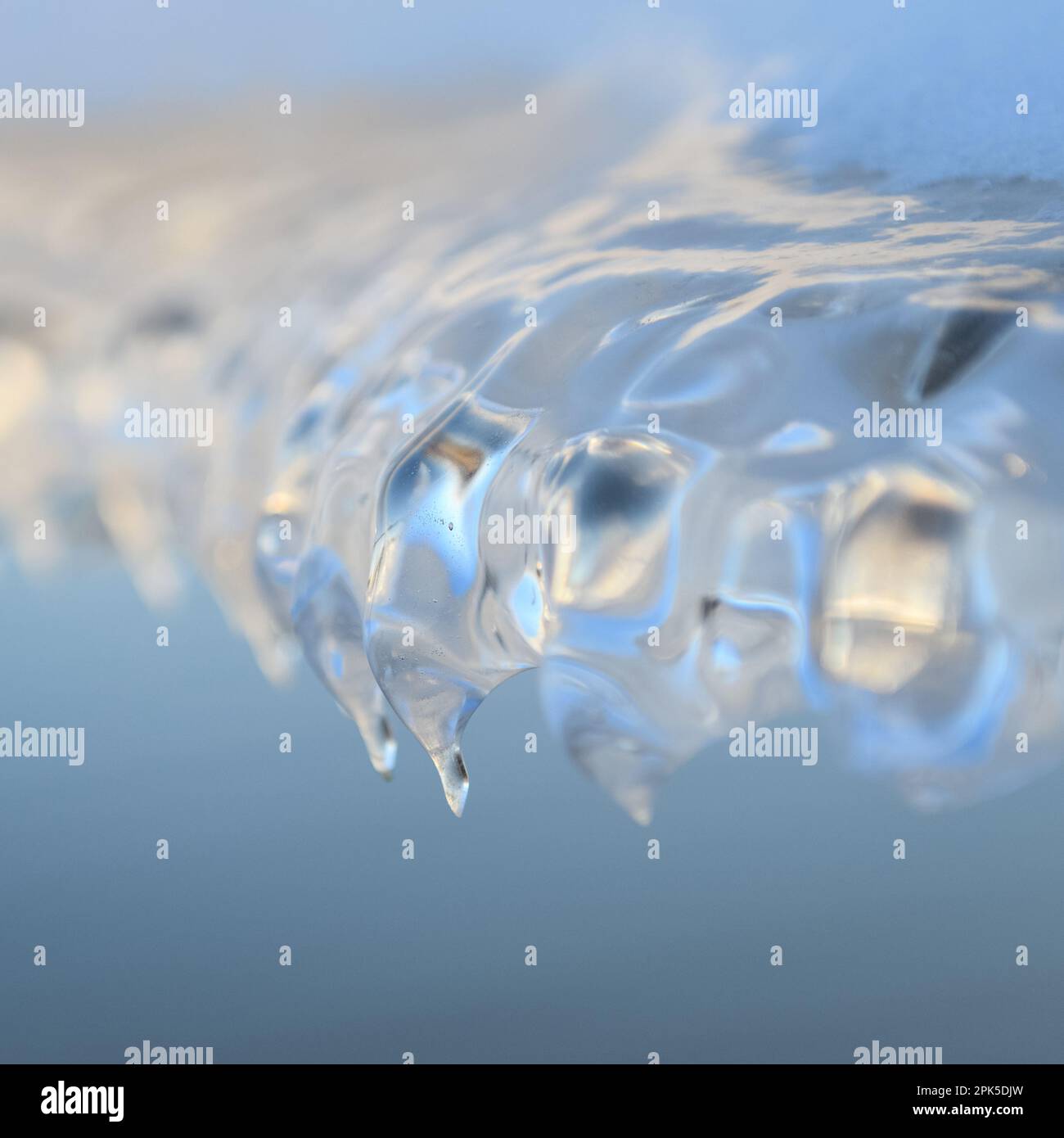 Ice... Ice formation ( winter flood 2020/2021 ), thawing ice slab ...