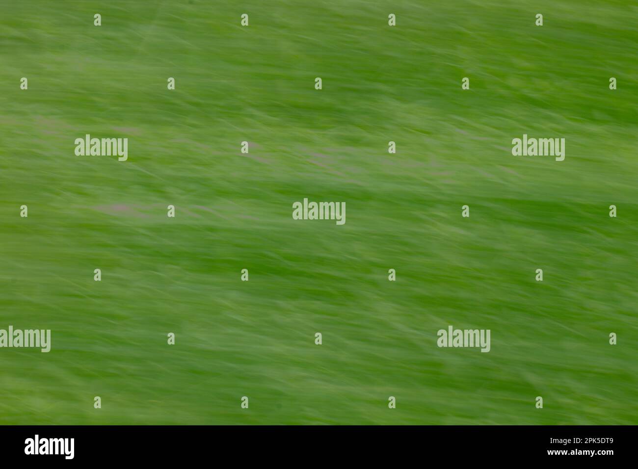 Beautiful images on screen create hi-res stock photography and images ...