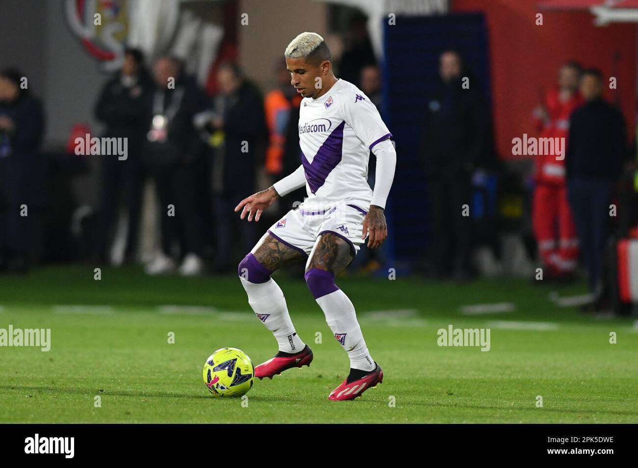 Cremonese dodo hi-res stock photography and images - Alamy