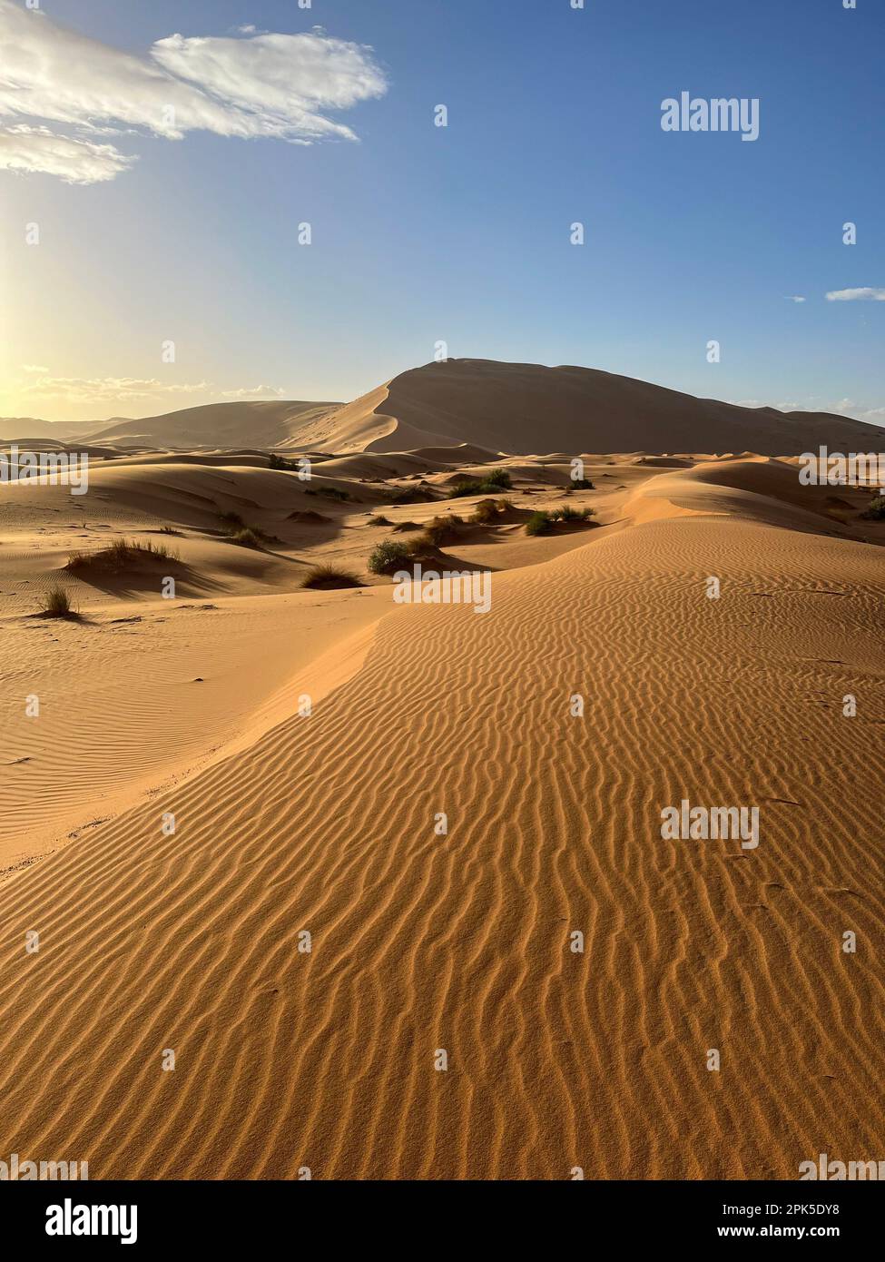 Merzouga, Morocco, Africa, Erg Chebbi: panoramic view of the dunes in ...
