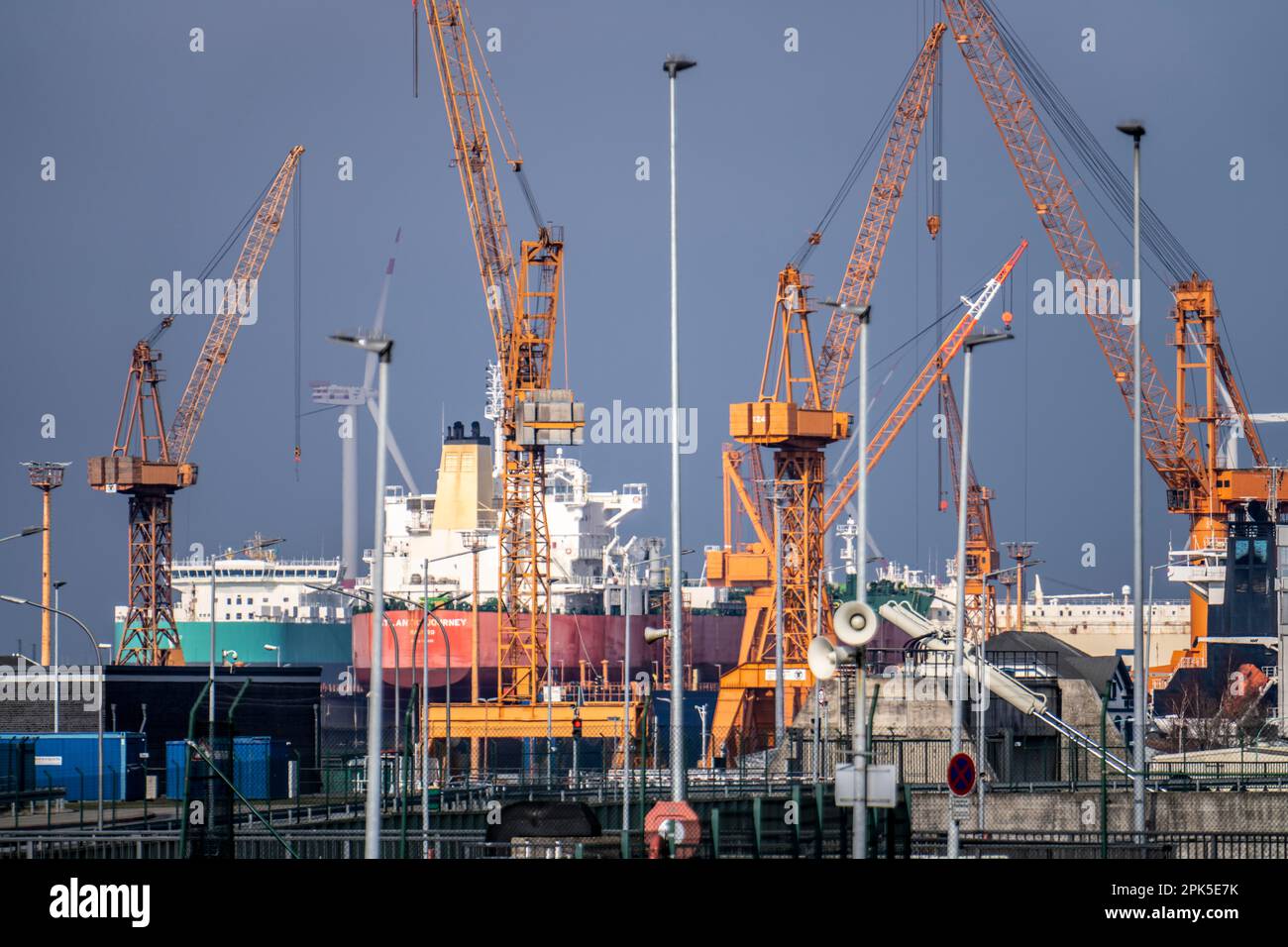 Lloyd Werft, freighter at pier and dry dock, freighter Adam Schulte ...