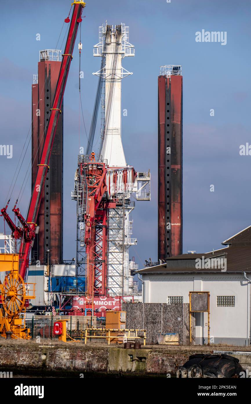 Lloyd Werft, shipyard in the overseas port of Bremerhaven, work on the ...