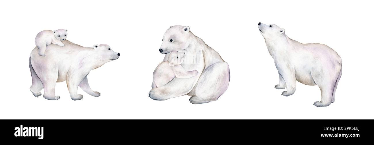 Watercolor illustration with a cute polar bear. Cute winter animal ...