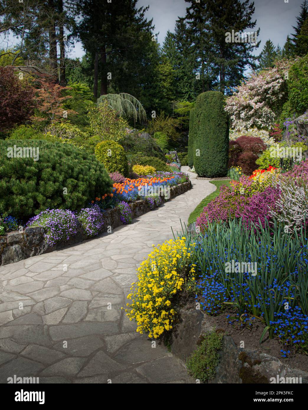 Spring Blossoms in Butchart Gardens Stock Photo - Alamy
