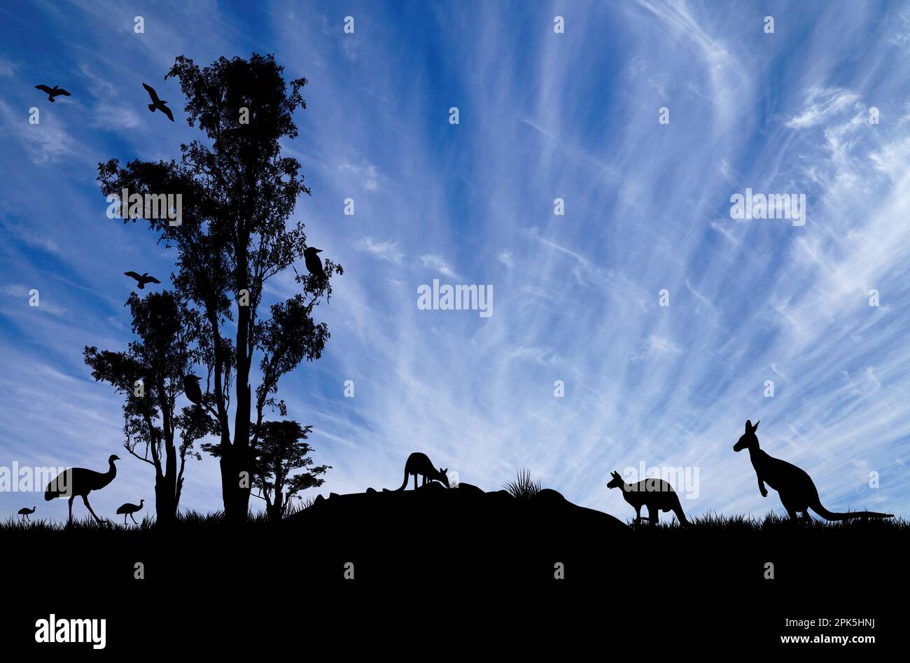 Silhouette of gum tree with kangaroos and emus. illustration with blue ...