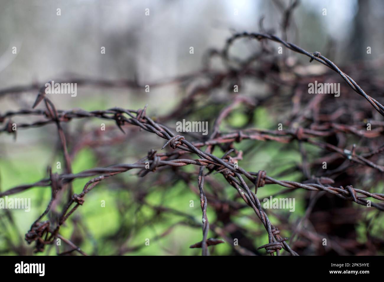 West Texas barbed wire around field Stock Photo - Alamy