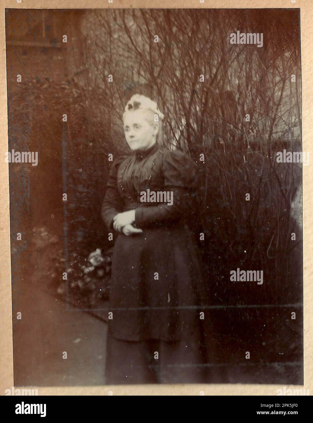 Unknown lady, probably Ann Hook, - Hook Edwardian family album Stock ...