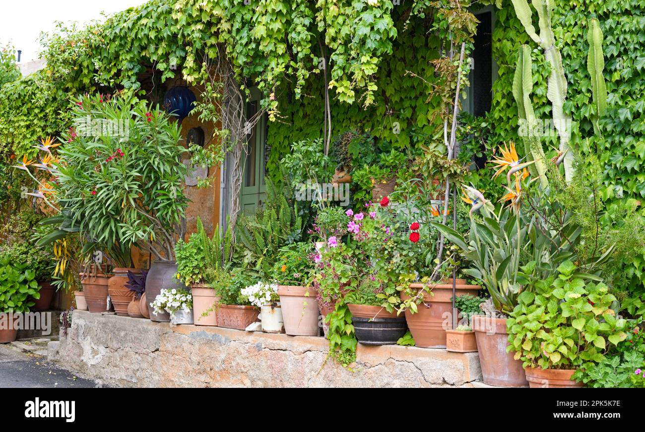House front in san hi-res stock photography and images - Alamy
