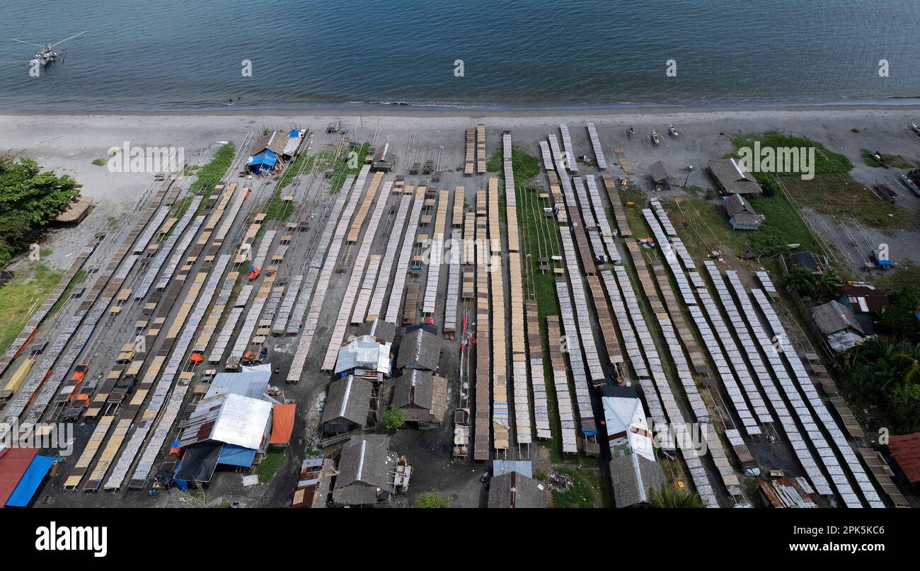 Fish are laid out to dry at a coastal village in Tacloban, Leyte ...