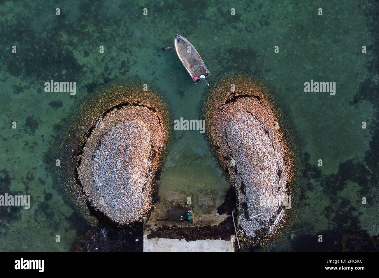 Piles of discarded conch shells flank a jetty as fishermen head out to ...
