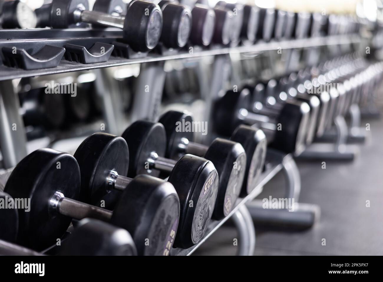 Rows of dumbbells for free weight training on rack in gym Stock Photo ...